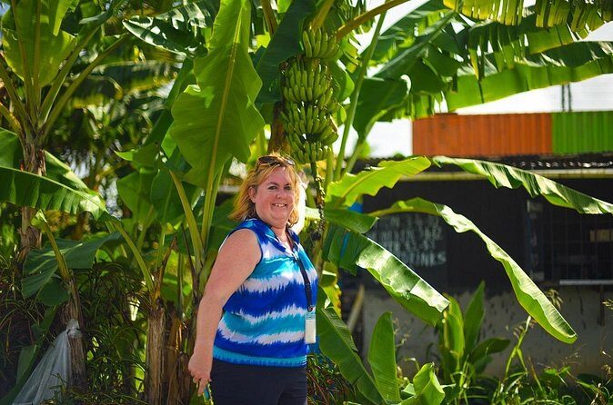 Mudbaths, Waterfall & Botanical Gardens Tour - All Inclusive - Final Thoughts