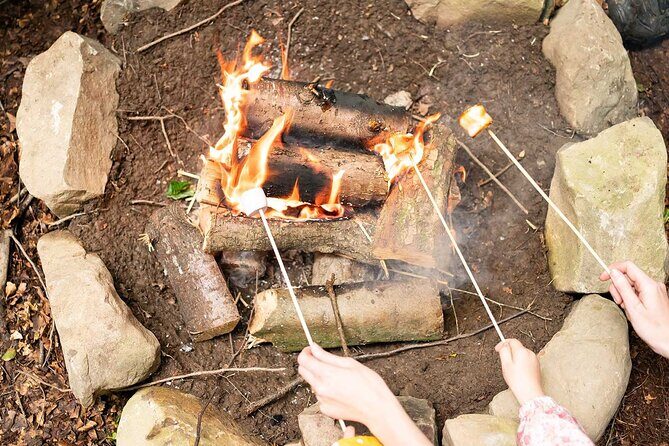 Muddy Tots Go Wild Forest School Ballynahinch County Down - Authentic Reviews and Insights