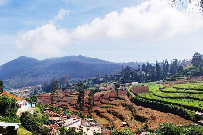 Muesum & Garden Tour of Ooty (4 Hours Guided Walking Tour) - Final Thoughts