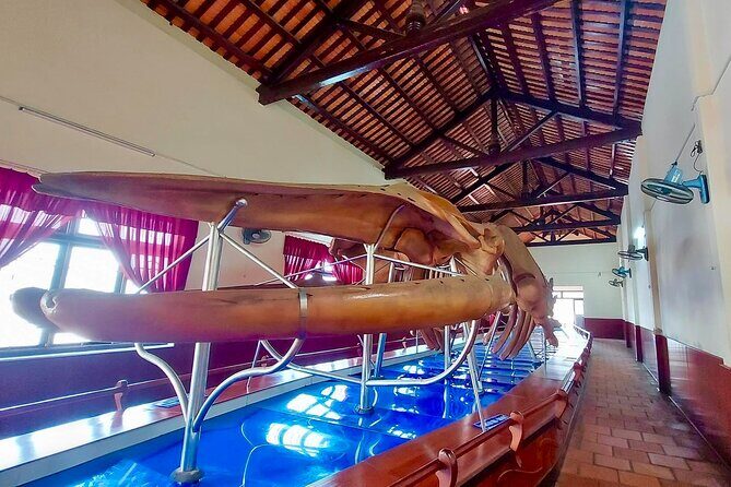 Mui Ne/Phan Thiet: Ta Cu Mountain with Cable Car, Sleeping Buddha - FAQ