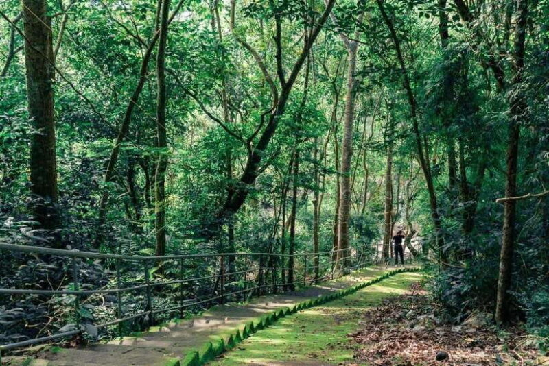 Mui Ne Sand Dunes Quad Bike Atv And Vung Tau City 2 Day Tour - An In-Depth Look at the 2-Day Coastal Tour