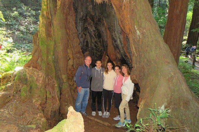 Muir Woods and California Wine Country 8 Hour Private Tour - The Return Trip and Overall Length
