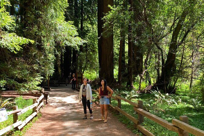 Muir Woods and Golden Gate Bridge 3-hour Private Group Tour - Practical Considerations and Tips