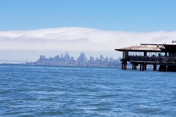 Muir Woods and Sausalito Afternoon Tour Small-Group Half-Day - The Value Proposition
