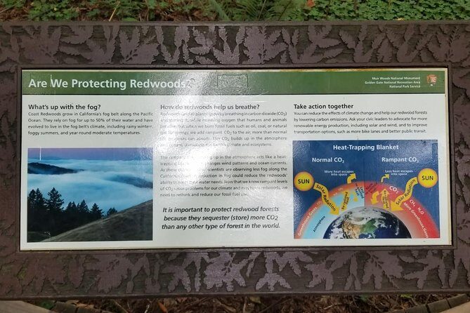 Muir Woods and Sausalito Afternoon Tour Small-Group Half-Day - Who Will Love This Tour?
