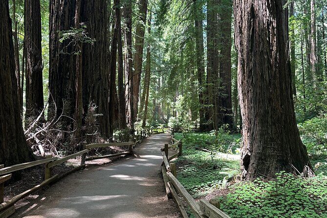 Muir Woods and Sausalito Tour 5 Hours of Natural Beauty - Practical Details: What Travelers Need to Know