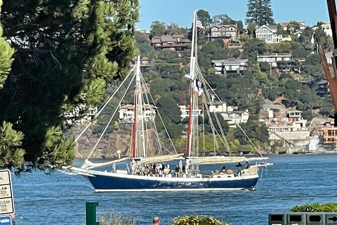 Muir Woods and Sausalito Tour 5 Hours of Natural Beauty - Final Thoughts