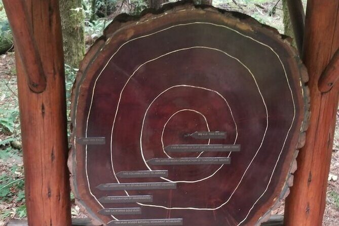 Muir Woods and Sausalito Tour Entrance Fee Included - The Sum Up