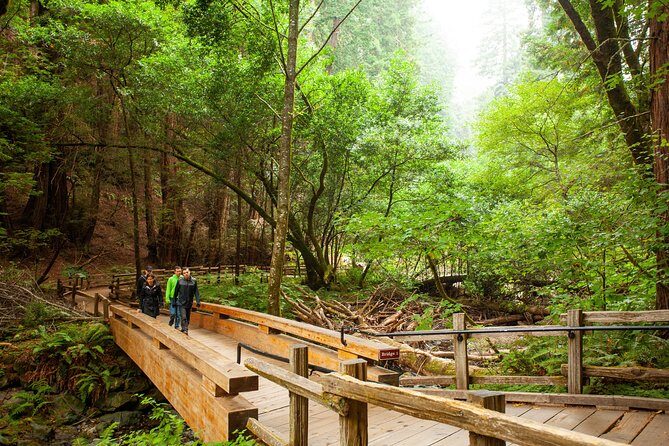 Muir Woods and Sausalito Tour Plus Bay Cruise - Final Thoughts: Is This Tour for You?