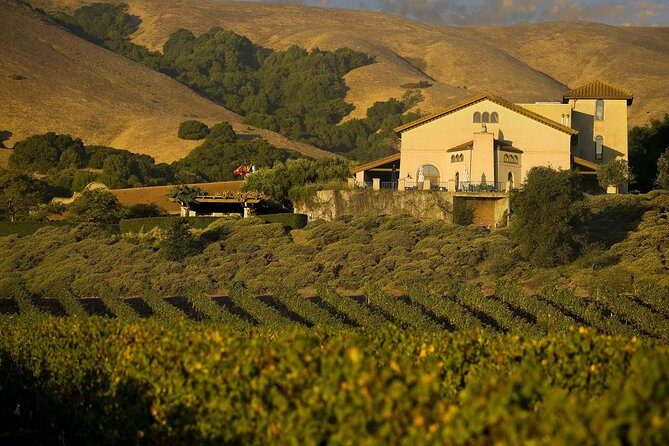 Muir Woods & Napa-8hr-Private Scenic Wine Tour From San Francisco - Exploring the Tour Itinerary in Detail