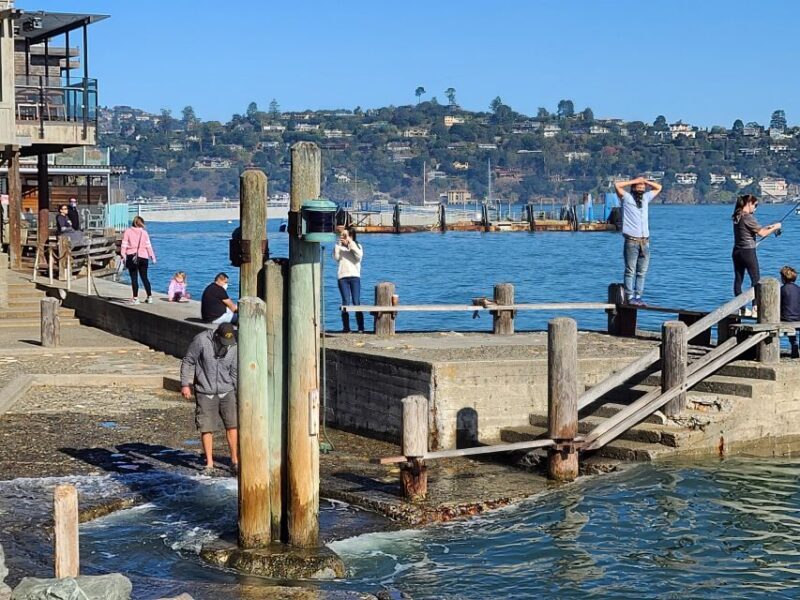 Muir Woods, Sausalito and Ferry back to Fisherman's Wharf - A Deep Dive into the Experience