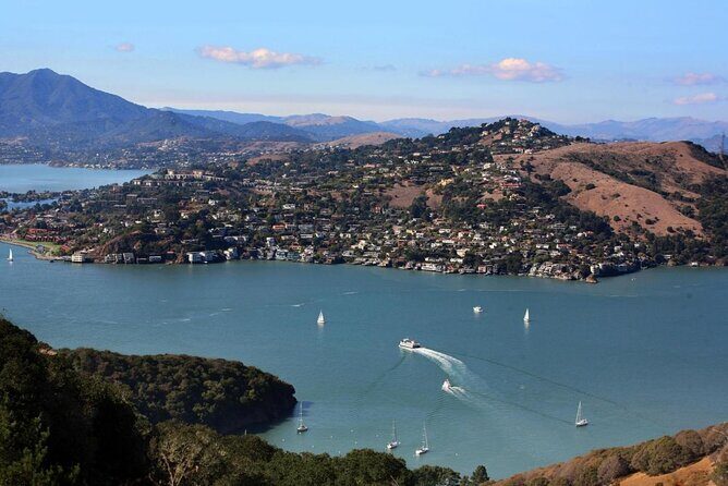 Muir Woods, Sausalito and Tiburon Day Trip from San Francisco - Concise Summary