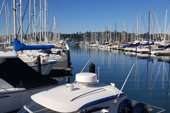 Muir Woods, Sausalito, Marin Headlands, Lighthouse Private Tour - The Breakdown: What to Expect from the Tour