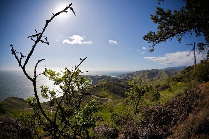 Muir Woods, Sausalito, Marin Headlands, Lighthouse Private Tour - Who Should Consider This Tour?