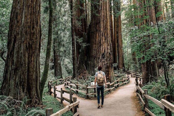 Muir Woods & Sausalito: Small Group Experience - Who is This Tour Best For?