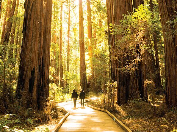 Muir Woods & Sausalito Tour - Final Thoughts: The Value Proposition and Who It’s Best For
