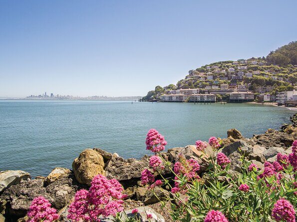Muir Woods & Sausalito Tour - FAQ: Practical Questions About the Muir Woods & Sausalito Tour