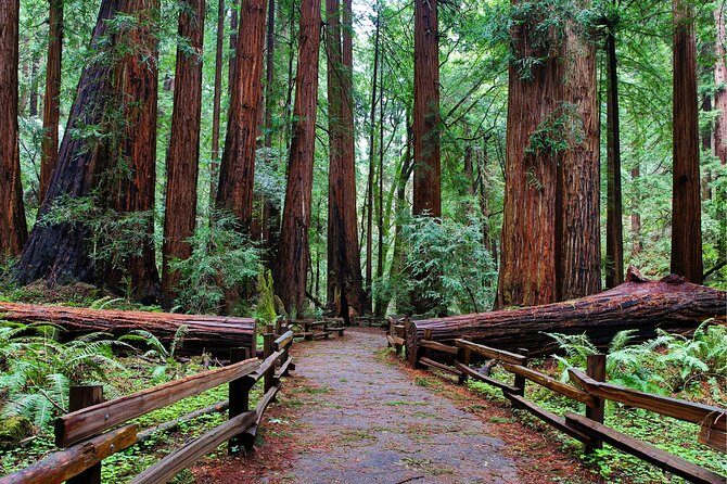 Muir Woods with Napa & Sonoma Wine Tour + Alcatraz & Aquarium Access - Exploring the Itinerary in Detail