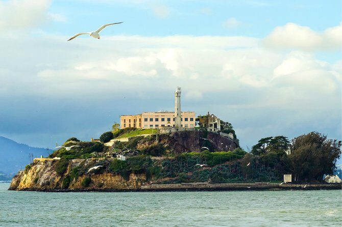 Muir Woods with Napa & Sonoma Wine Tour + Alcatraz & Aquarium Access - Who Should Consider This Tour?