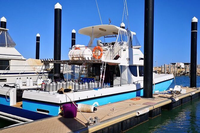 Muiron Island Diving Tour - Who Should Consider This Tour?