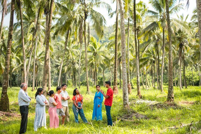 Mulgao Folk Village & Coconut Farming Experience - Make It Happen - Key Points