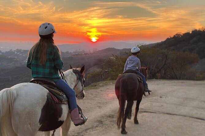 Mulholland Trail Horseback Tour - In-Depth Review: What to Expect and Why It Matters