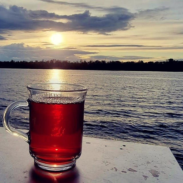Mulled wine ride in the Leipzig New Zealand - Final Thoughts: Who Will Enjoy This?