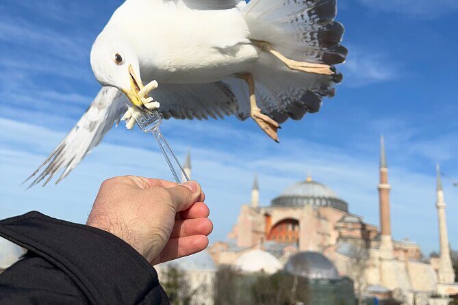 Multi 2 Days Private Guided Istanbul Iconic Landmarks City Tour - Day 2: Modern Istanbul and Its Vibrant Markets