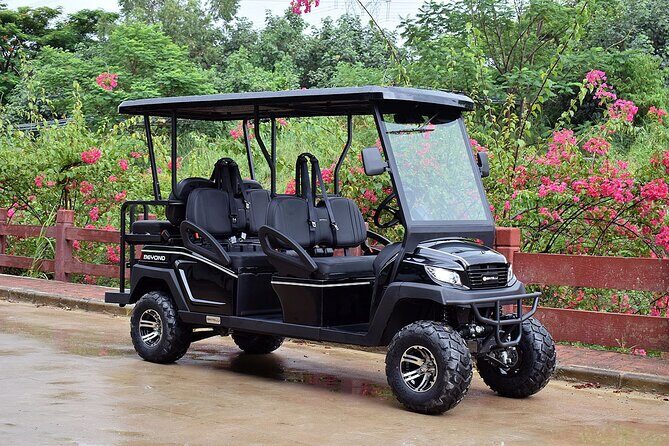 Multi Day 6 Passenger LSV Golf Cart Rental - The Experience in Detail
