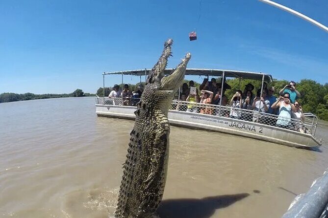 Multi-Day Barramundi and Bluewater Fishing Safaris from Darwin - Final Thoughts: Is This Tour Right for You?