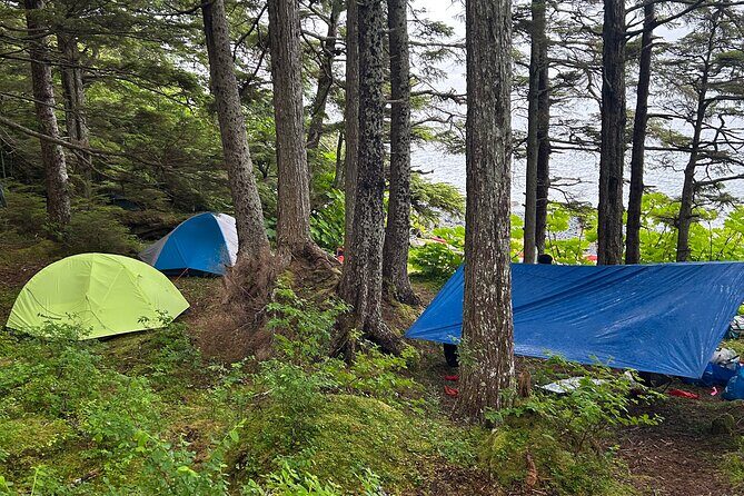 Multi day Kayak Expedition Sitka, Alaska - Day 4: Sea Lions and Marine Mammals