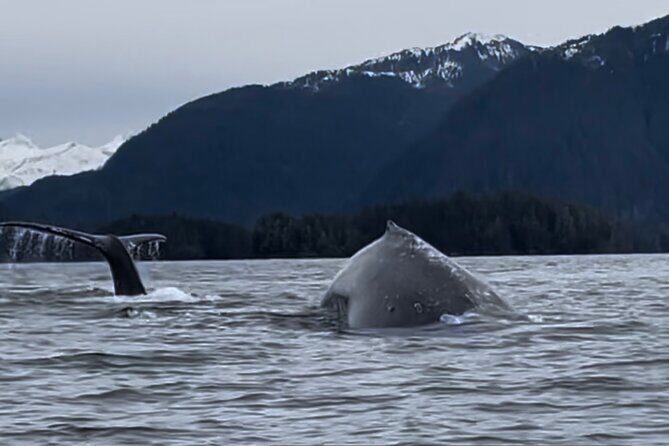 Multi day Kayak Expedition Sitka, Alaska - Day 5: Inner Channels and Cultural Reflection