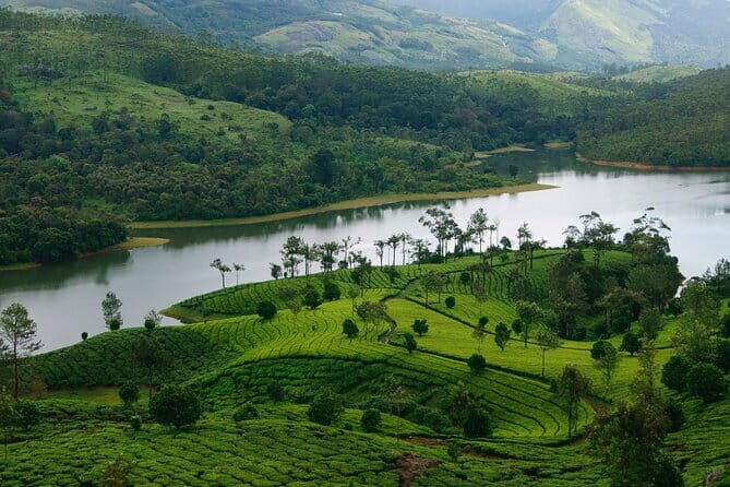Multi Day Private Guided Tour of Kerala from Kochi by Car - FAQ