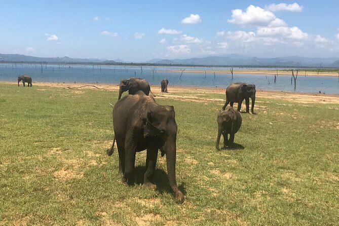 Multi Day Private Tour Around Sri Lanka with our Personal Driver - Why This Tour Delivers Good Value