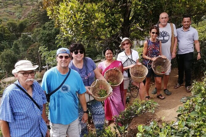 Multi Day Round Private Tour in Sri Lanka - An In-Depth Look at the Sri Lanka Private Tour