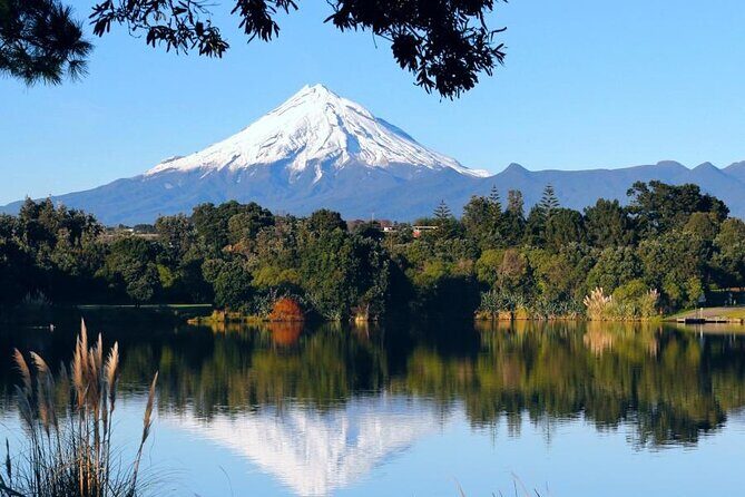 Multi Day Tour to New Plymouth and Taranaki Region from Hamilton - A Deep Dive into the Taranaki Experience