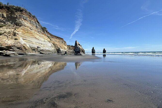 Multi Day Tour to New Plymouth and Taranaki Region from Hamilton - FAQ