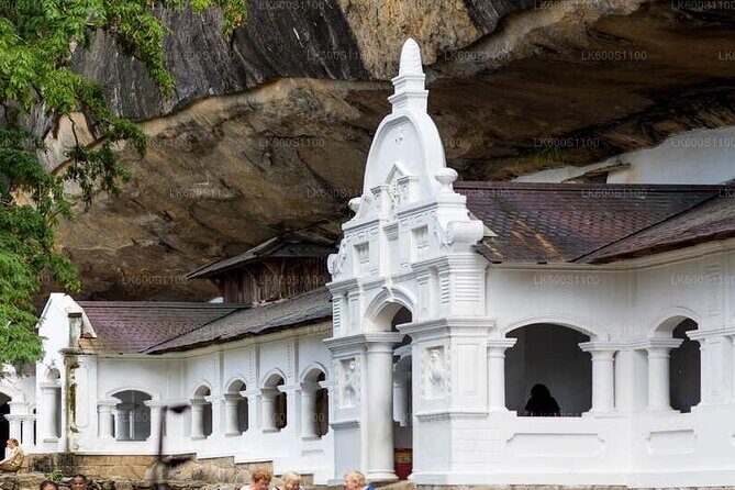 Multi Day Tour Tropical Sri Lanka A Week in Paradise - Who Should Consider This Tour?