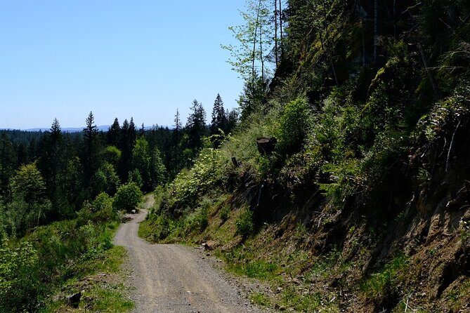 Multi Day Trek from Vancouver to Victoria - A Deep Dive into the Vancouver to Victoria Trek