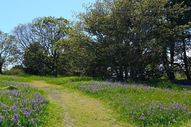 Multi Day Trek from Vancouver to Victoria - Final Thoughts