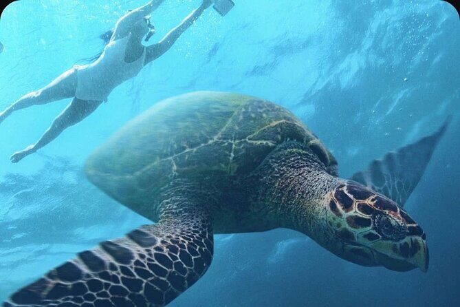 Multi-Day Underwater Sea Scooter Adventure with Free Delivery - An In-Depth Look at the Sea Scooter Adventure