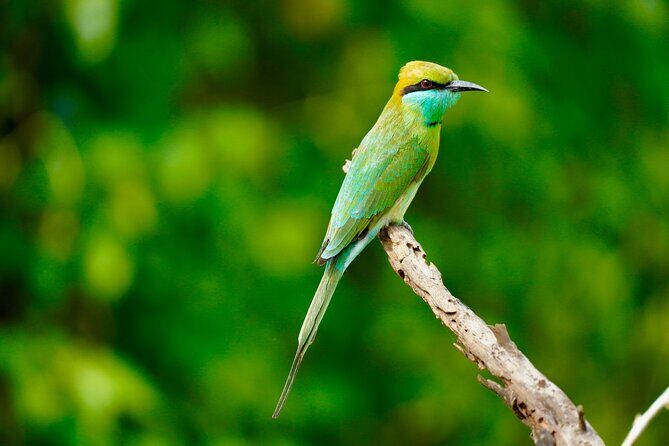 Multiday Safari and Hiking Adventure in Sri Lanka - Final Thoughts