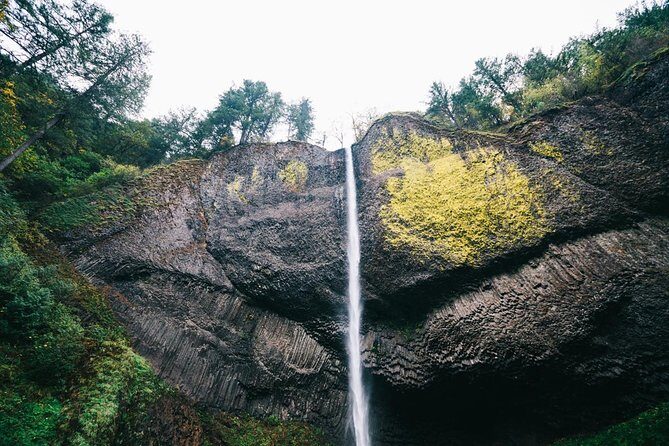 Multnomah Falls and Columbia River Gorge Waterfalls Tour Morning - The Sum Up: Who Is This Tour Best For?