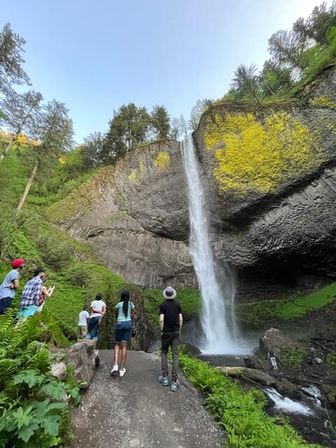 Multnomah Falls: Half-Day Tour of All 5 Major Waterfalls - What Makes This Tour Stand Out?