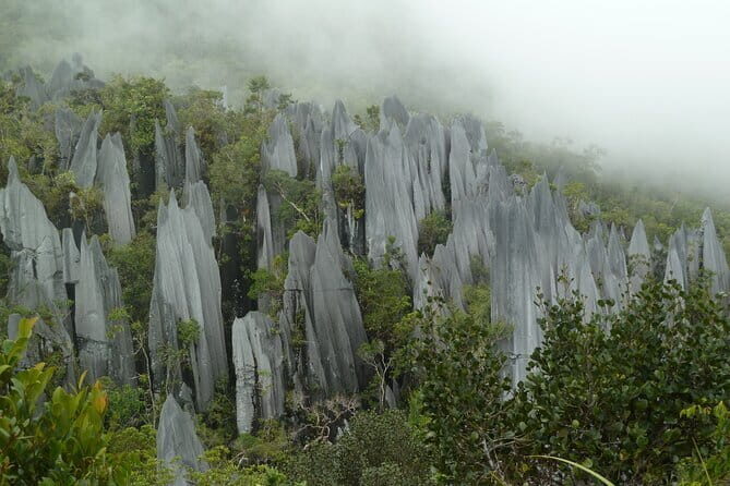 Mulu Headhunter's Trail - 3 Days Trekking & Cultural Experience - FAQ