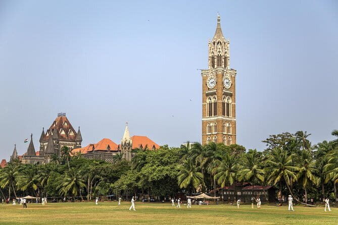 Mumbai City Tour with Lunch Group Cruise Excursion - Who Will Love This Tour?