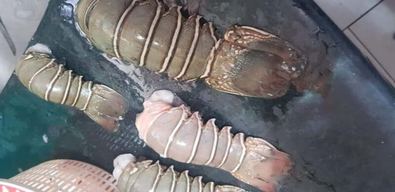 Mumbai Coastal Cooking: From Fishing Net to Flavourful Plate - Mumbai Coastal Cooking: From Fishing Net to Flavourful Plate – A Deep Dive into Local Mumbai