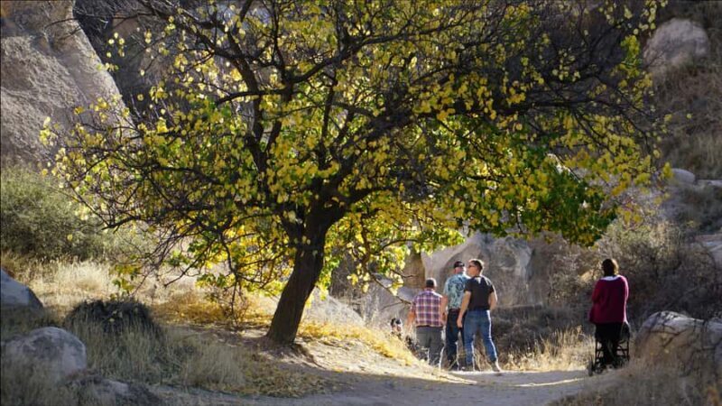 Mumbai: Full Day Sightseeing Tour with Elephanta Caves - To sum it up