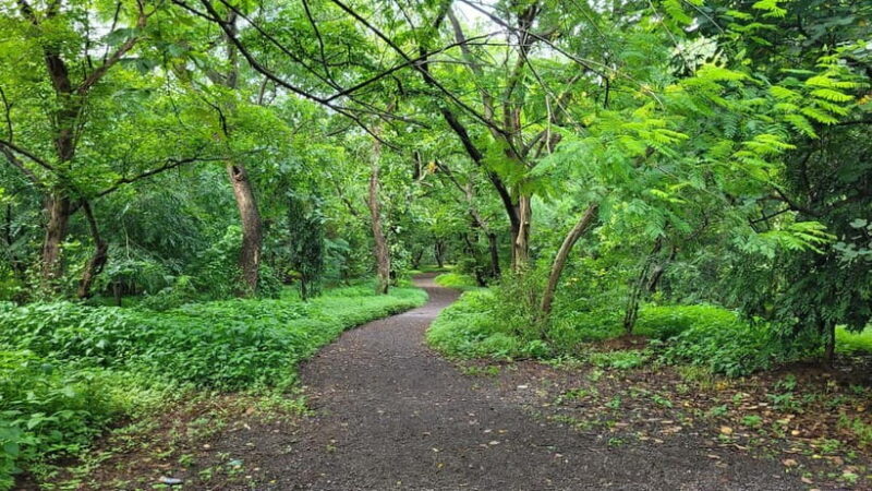 Mumbai: Maharashtra Nature Park Guided Nature Trail - Exploring Maharashtra Nature Park: An Overview