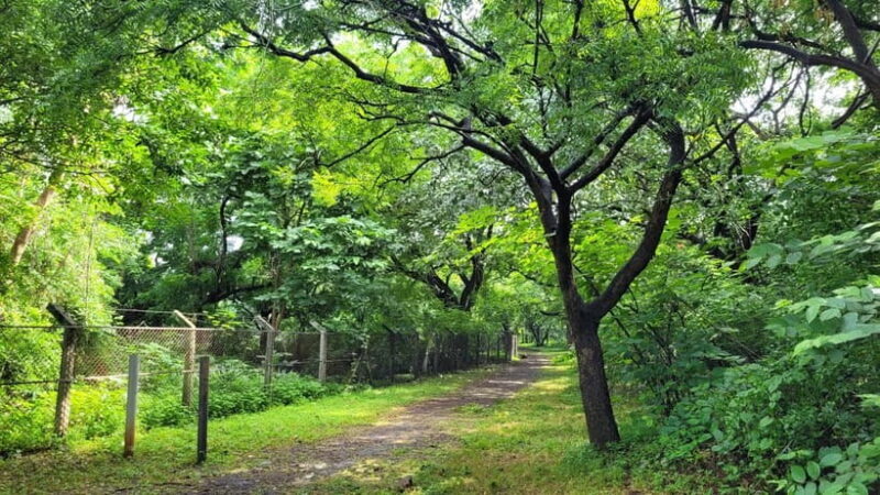 Mumbai: Maharashtra Nature Park Guided Nature Trail - The Transformation from Dumping Ground to Eco-Haven